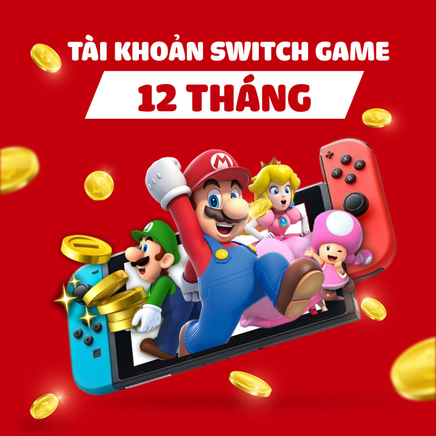 Tài Khoản Switch Game 12 Tháng | Tài khoản game Nintendo giá tốt nhất HALO Shop